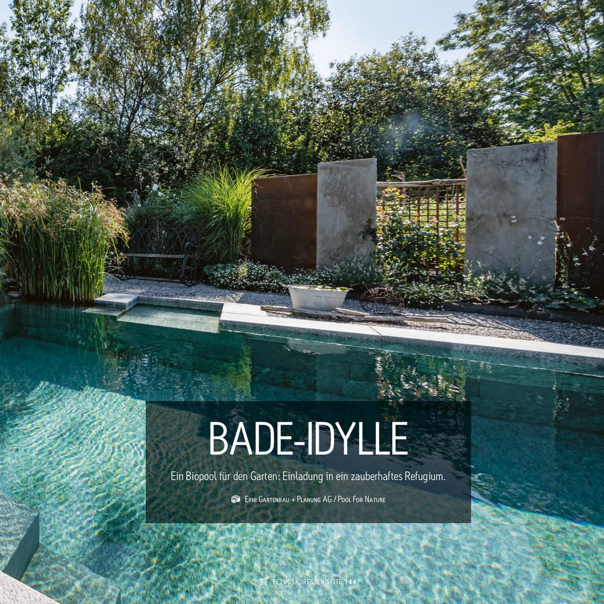 Biopool mit Holzdeck und Pflanzzone - Pool for Nature