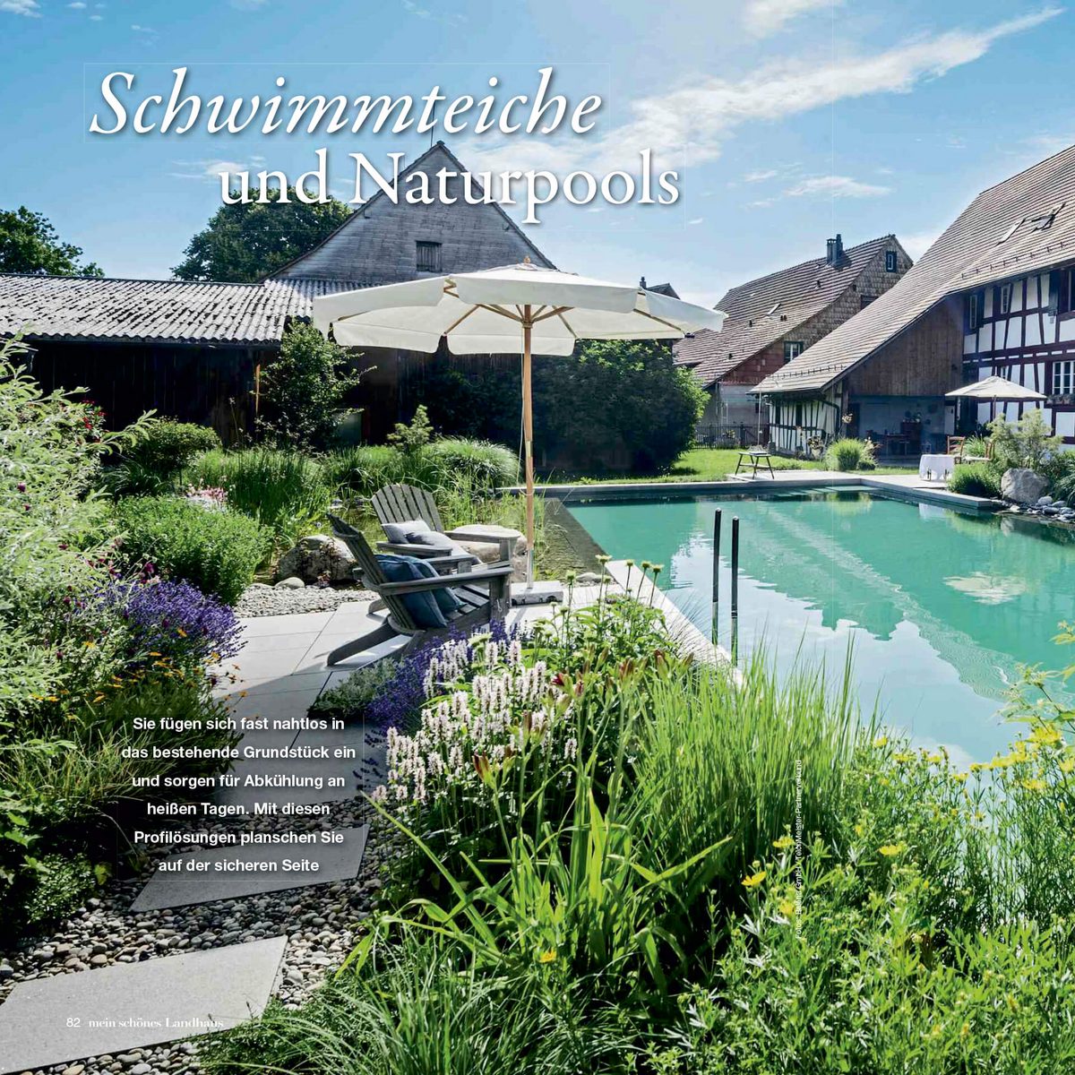 Schwimmteiche und Naturpools - Pool for Nature