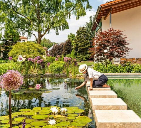 Pools / Teichbau / Schwimmteiche - Pool for Nature